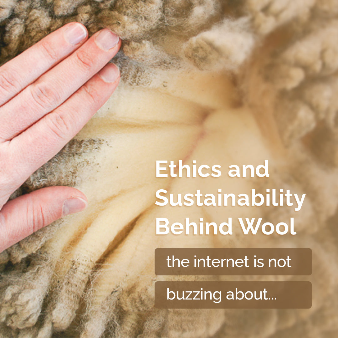 How Is Wool Sustainable? – Eco Collective