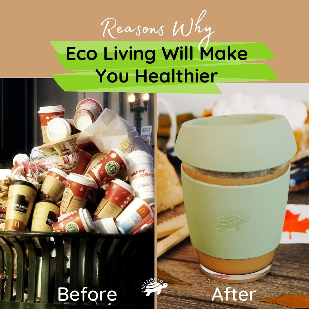 Reasons Why Eco Living Will Make You Healthier – Eco Collective