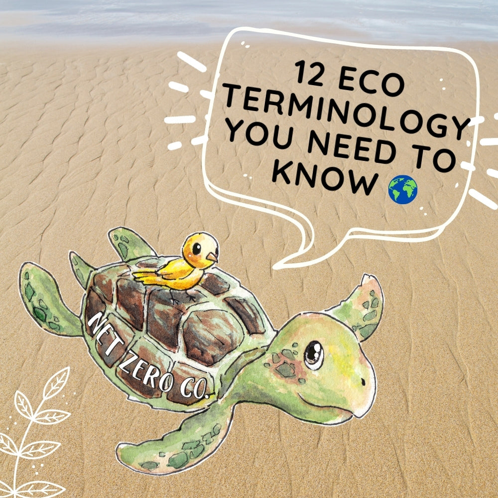 12 Eco Terminology You Need To Know – Eco Collective