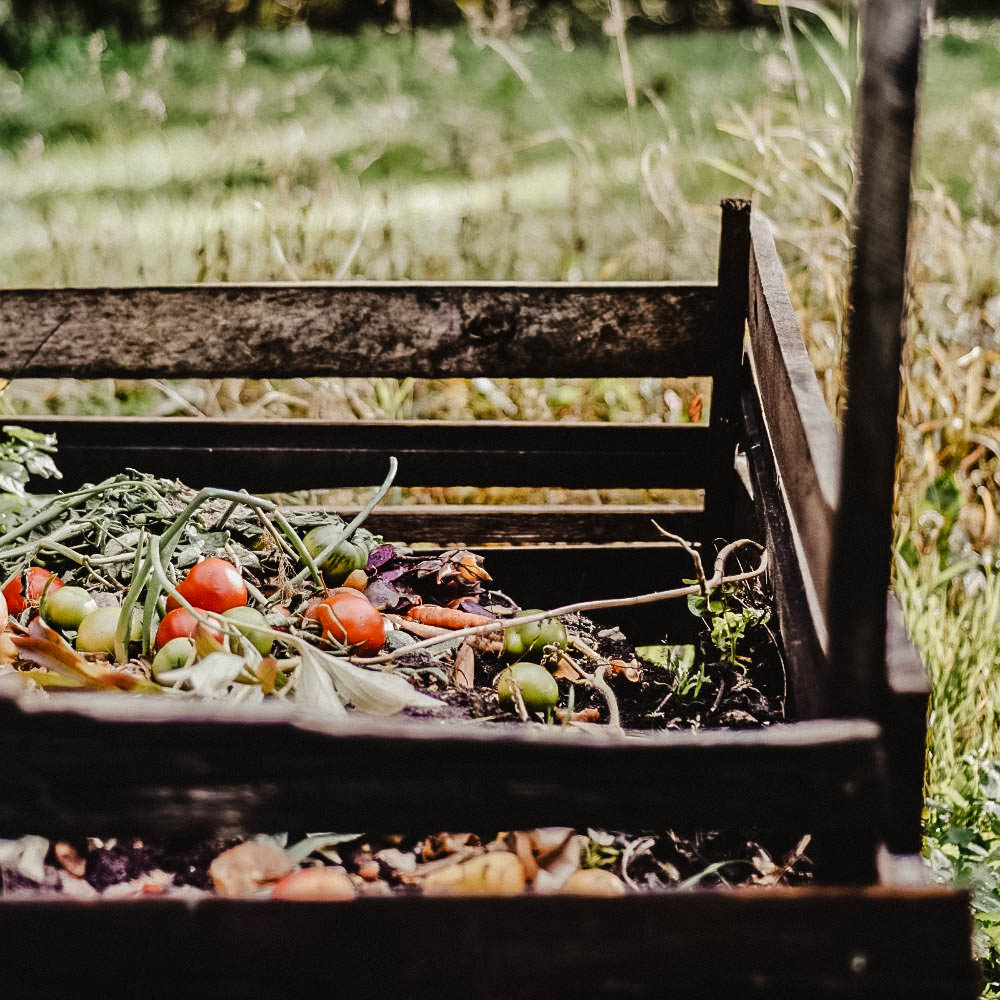 The Business Of Composting: How Food Waste Makes Money – Eco Collective